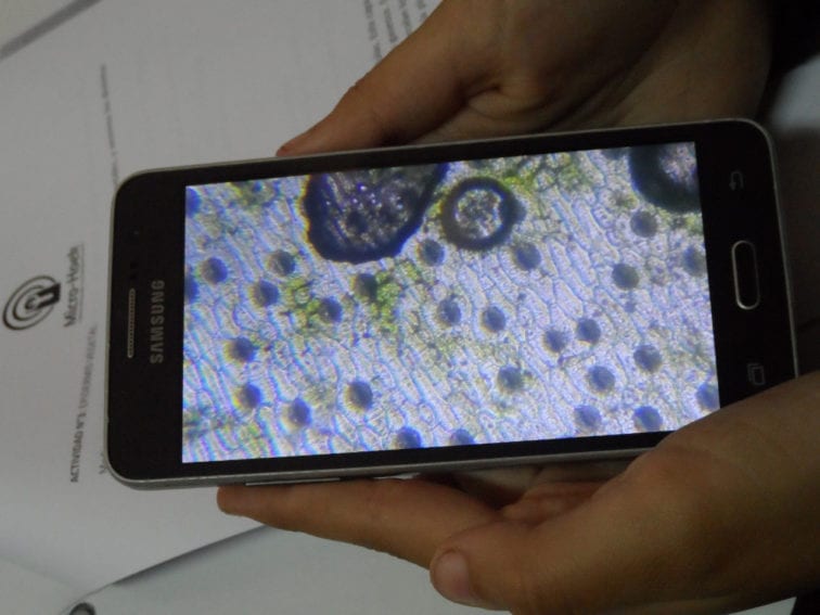 Manual enseña a convertir el celular en un microscopio - América Latina ...