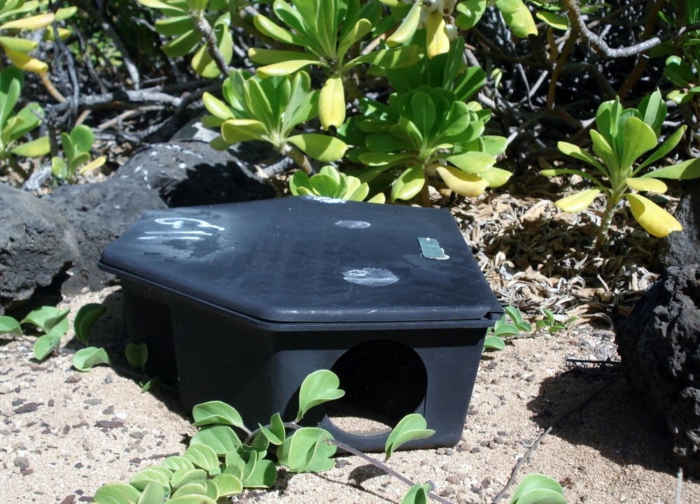 Conservation and tradition to save Hawaiian ecosystem