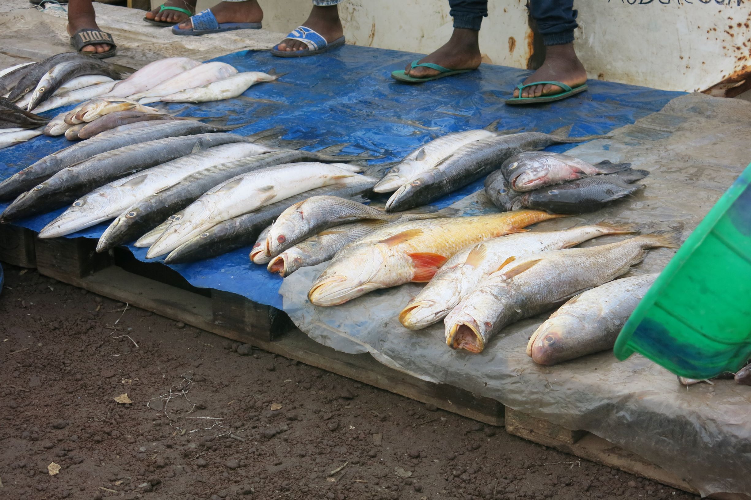 Poisons used to make food more beautiful, last longer