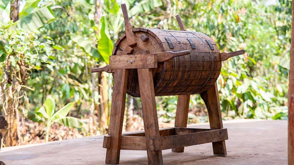 Cocoa fermenting box reaps rewards for Uganda’s farmers - Sub-Saharan ...