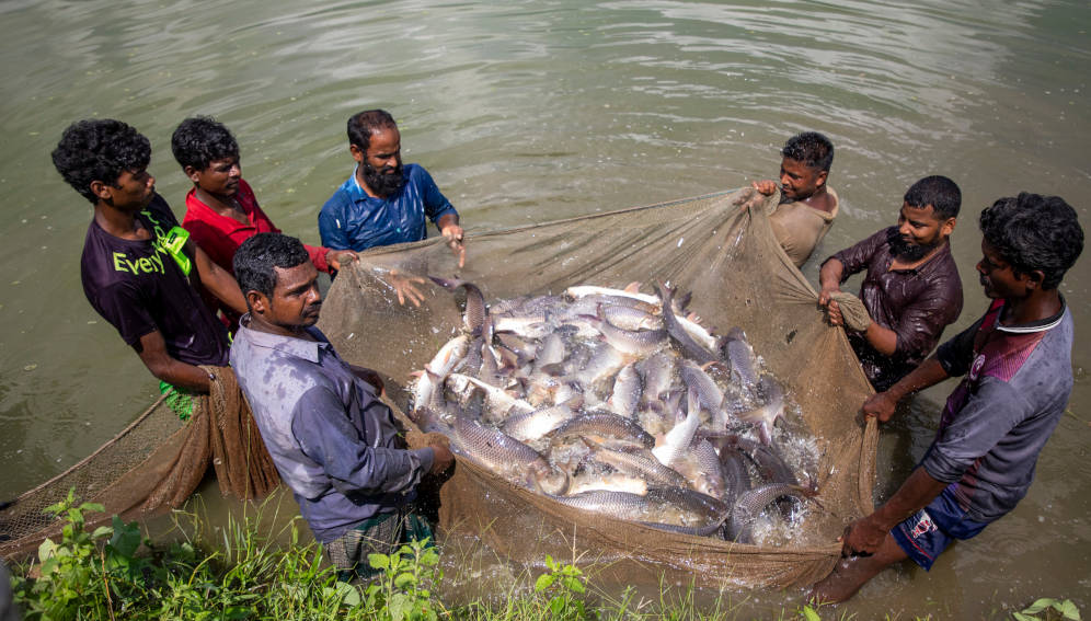 Images Of Fish Farm