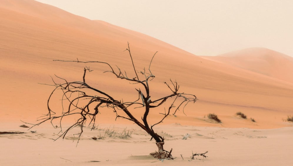 ‘Loss and damage’ key for global South at COP27