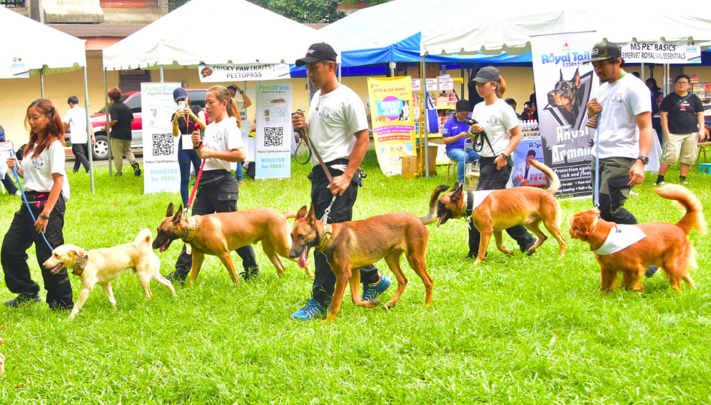 Pet dogs to the rescue amid Philippines earthquake risk