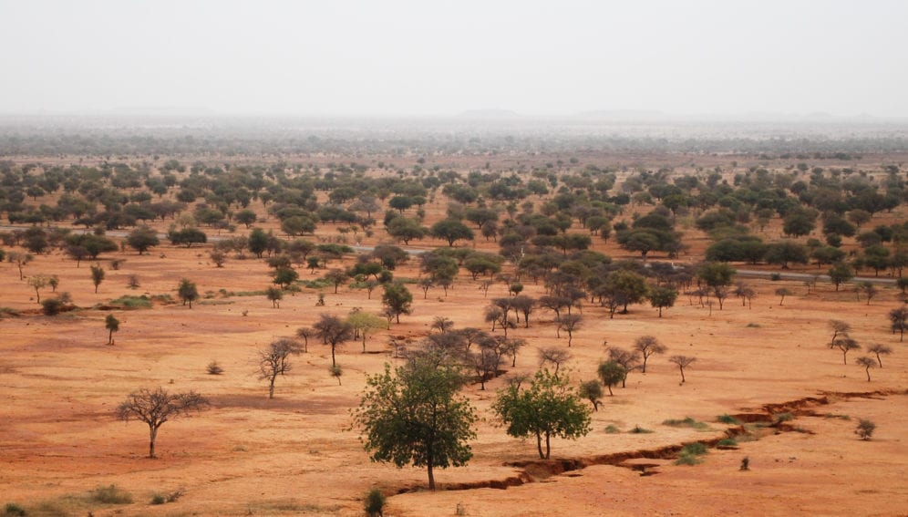 Daylight and not rains ‘drives vegetation growth onset’ - Sub-Saharan ...
