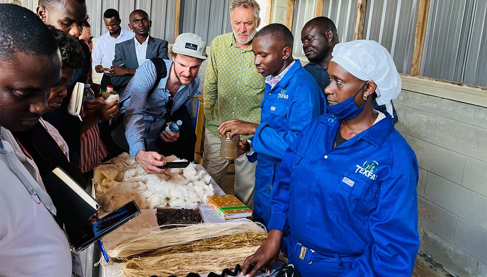 Banana fibres refined for textiles, hair extensions - Sub-Saharan Africa