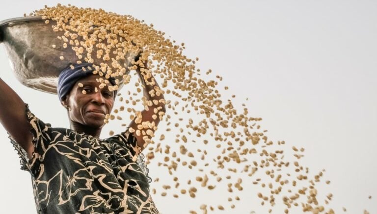 Africa’s food imports bill ‘could double by 2030’ - Sub-Saharan Africa