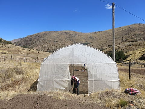 Climate change and knowledge from Peru’s indigenous roots