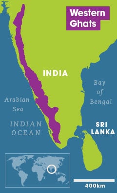 The biodiversity of the Western Ghats in pictures